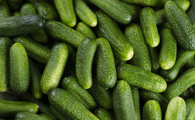 Cum se poate folosi castravetele în rețete culinare? | Goki.ro